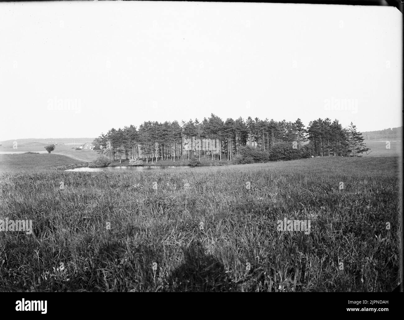 Biotop Black and White Stock Photos & Images - Alamy