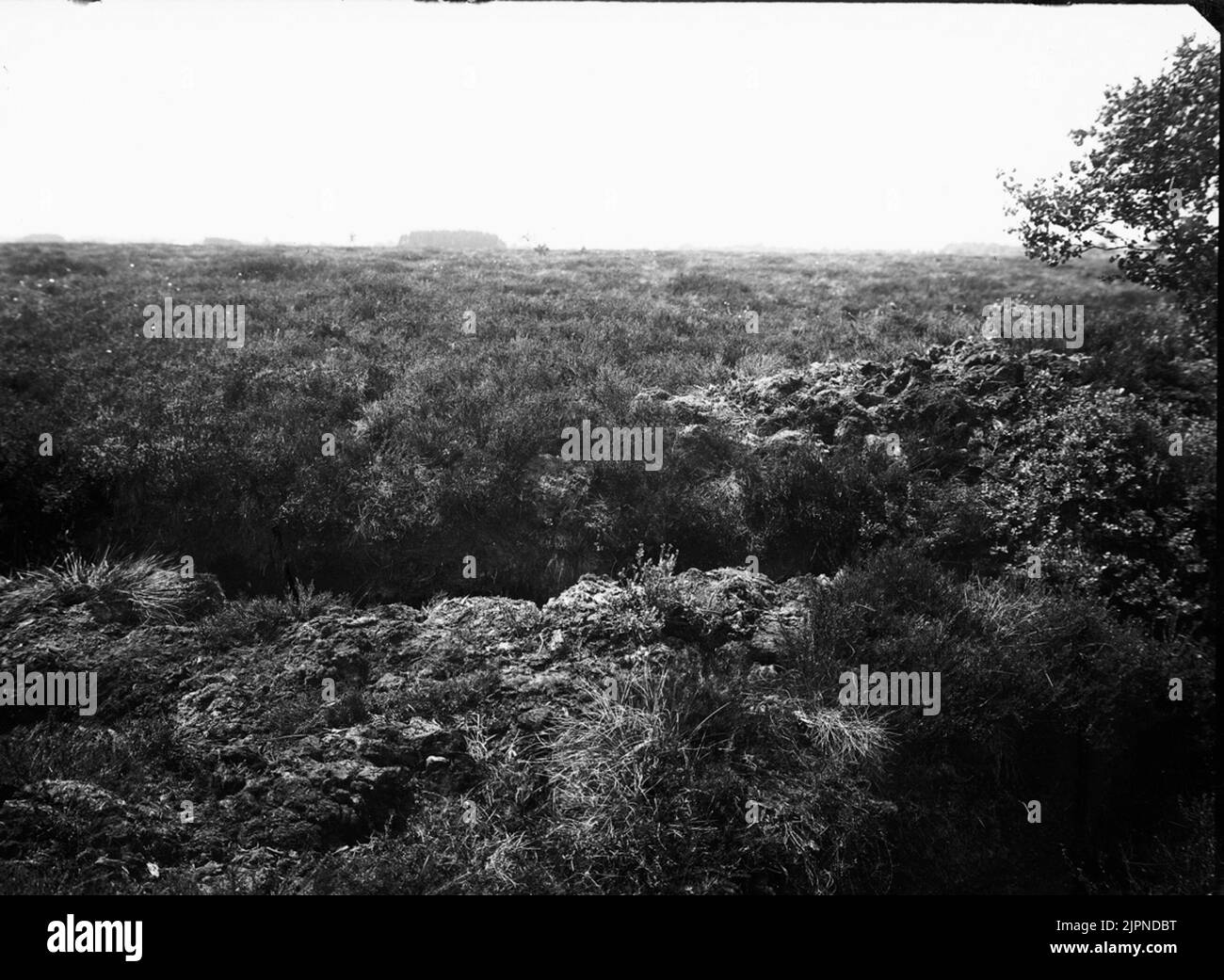 Orre hi-res stock photography and images - Alamy