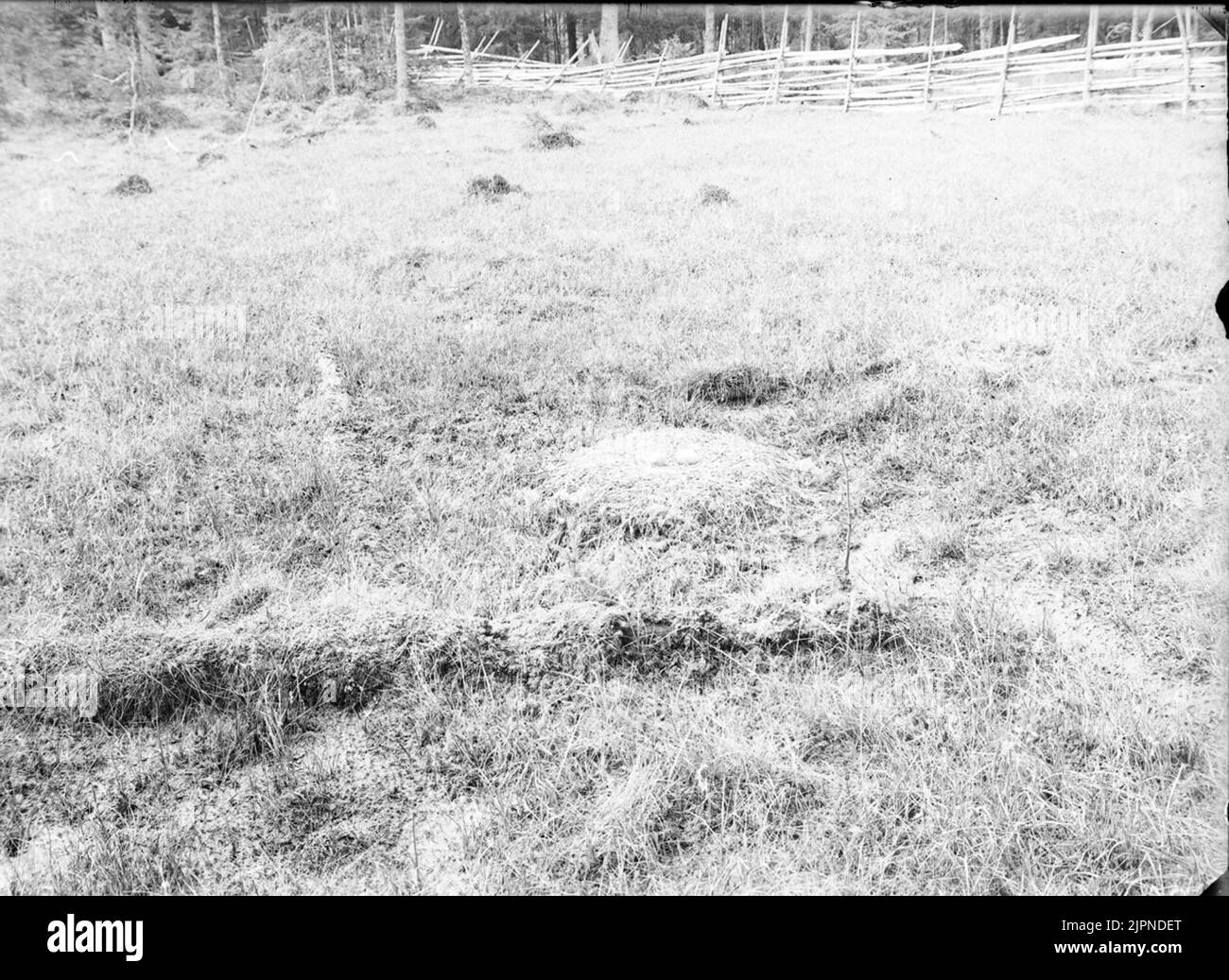 Residence for crane Boplats för trana Stock Photo - Alamy