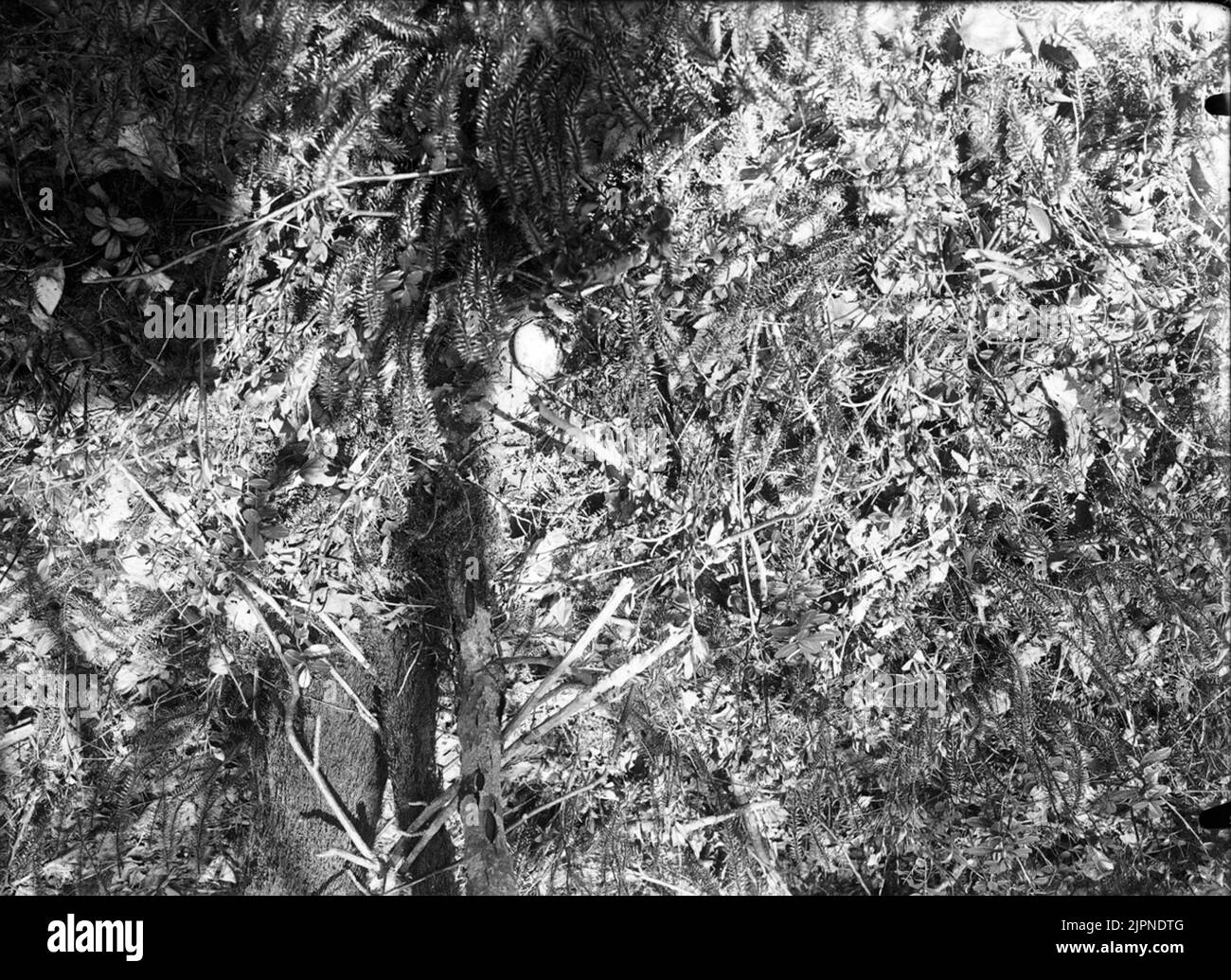 Stay by Morkulla Bo av morkulla Stock Photo - Alamy