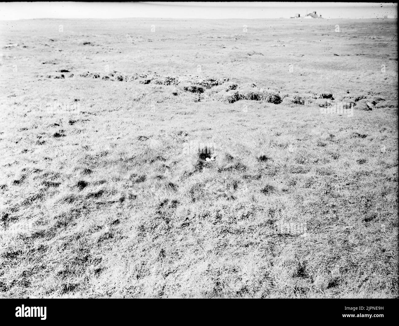 Stay of cutting spot Bo av skärfläcka Stock Photo - Alamy