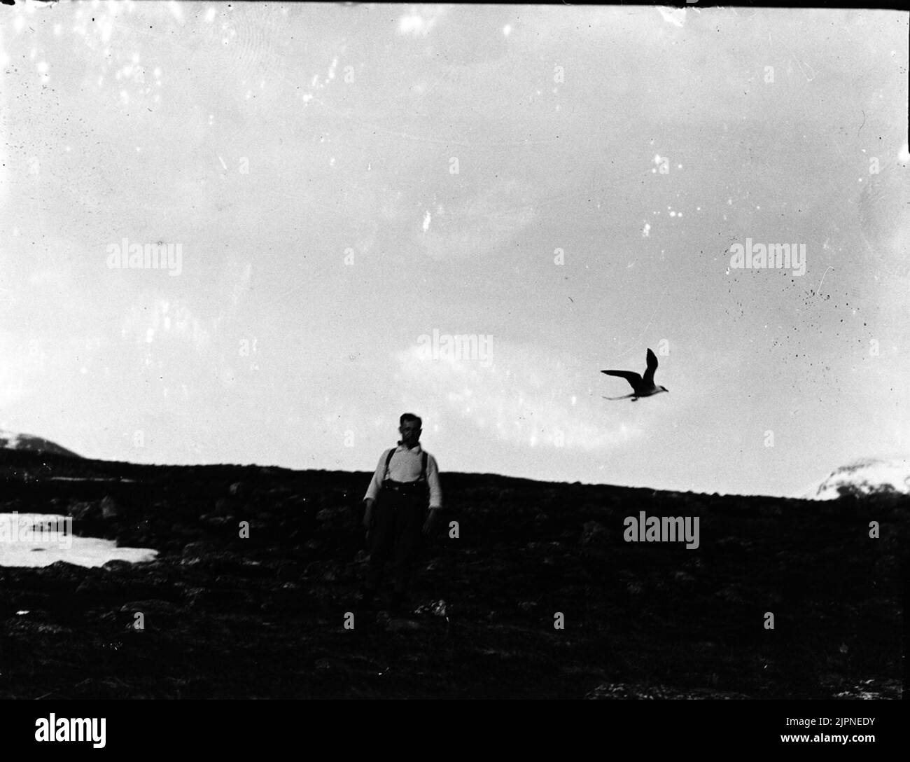 The Fourbell is beating after Jean Nessim Fjällabben slår efter Jean ...