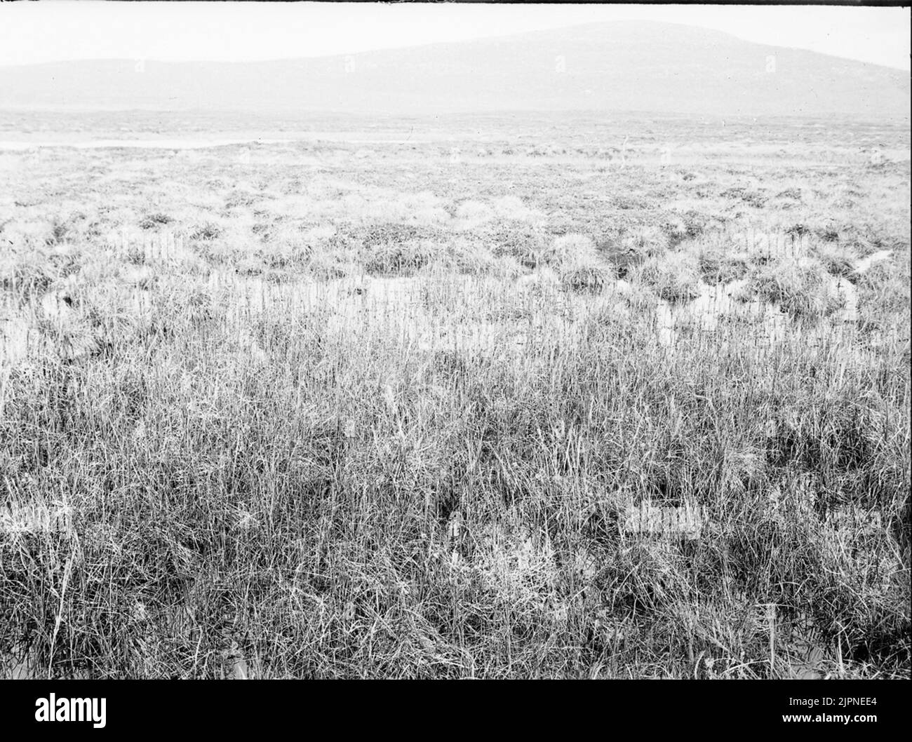 Simsnappa Black and White Stock Photos & Images - Alamy