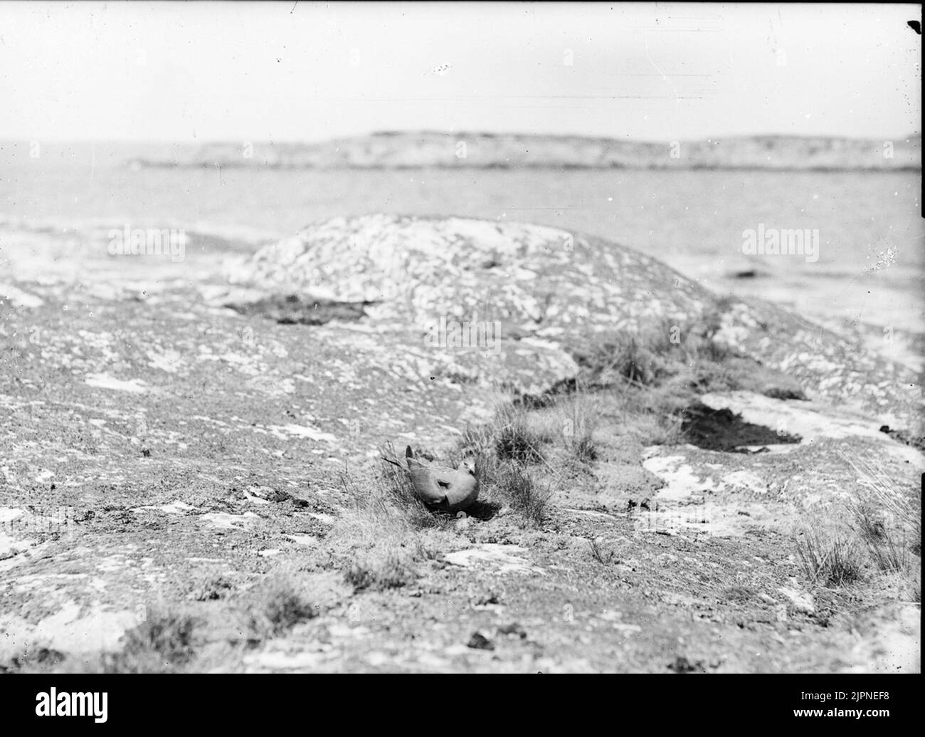 Labb hi-res stock photography and images - Alamy