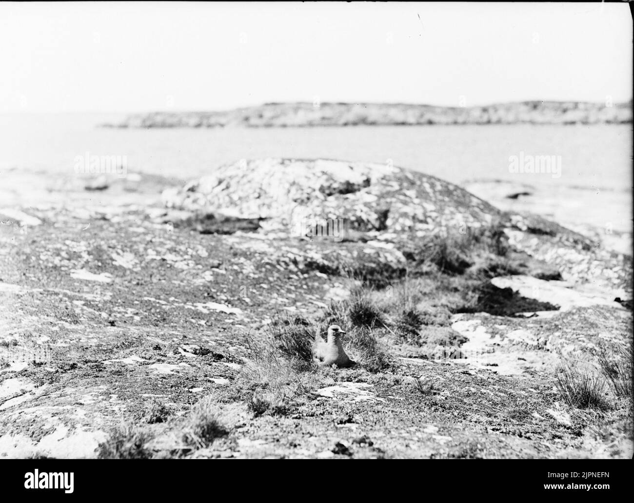 Labb hi-res stock photography and images - Alamy