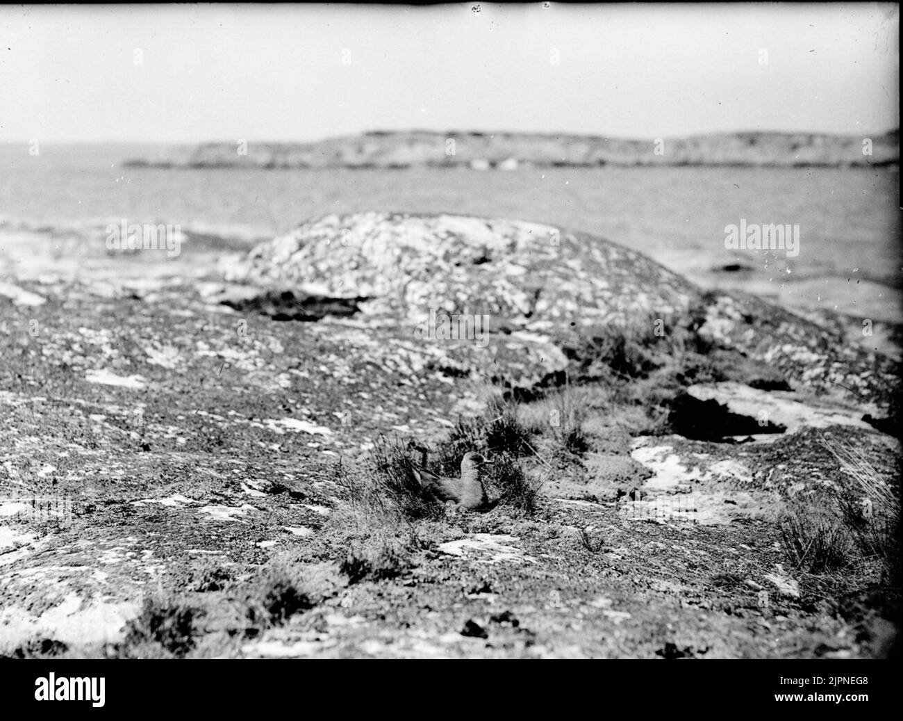 Labb hi-res stock photography and images - Alamy