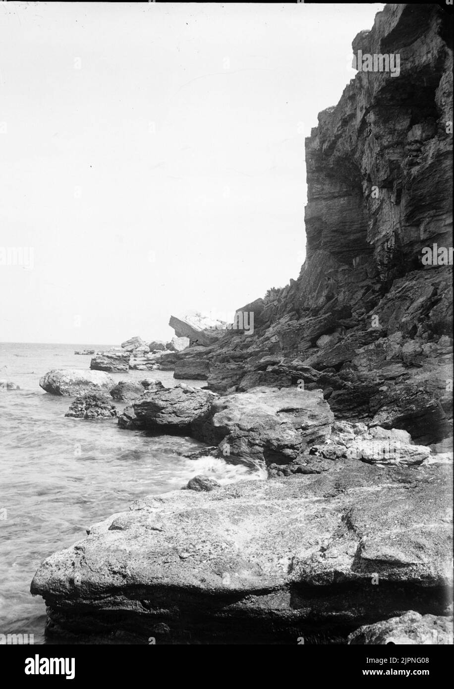 Remembrance for Spetsberg Grissel Boplats för spetsbergsgrissla Stock ...