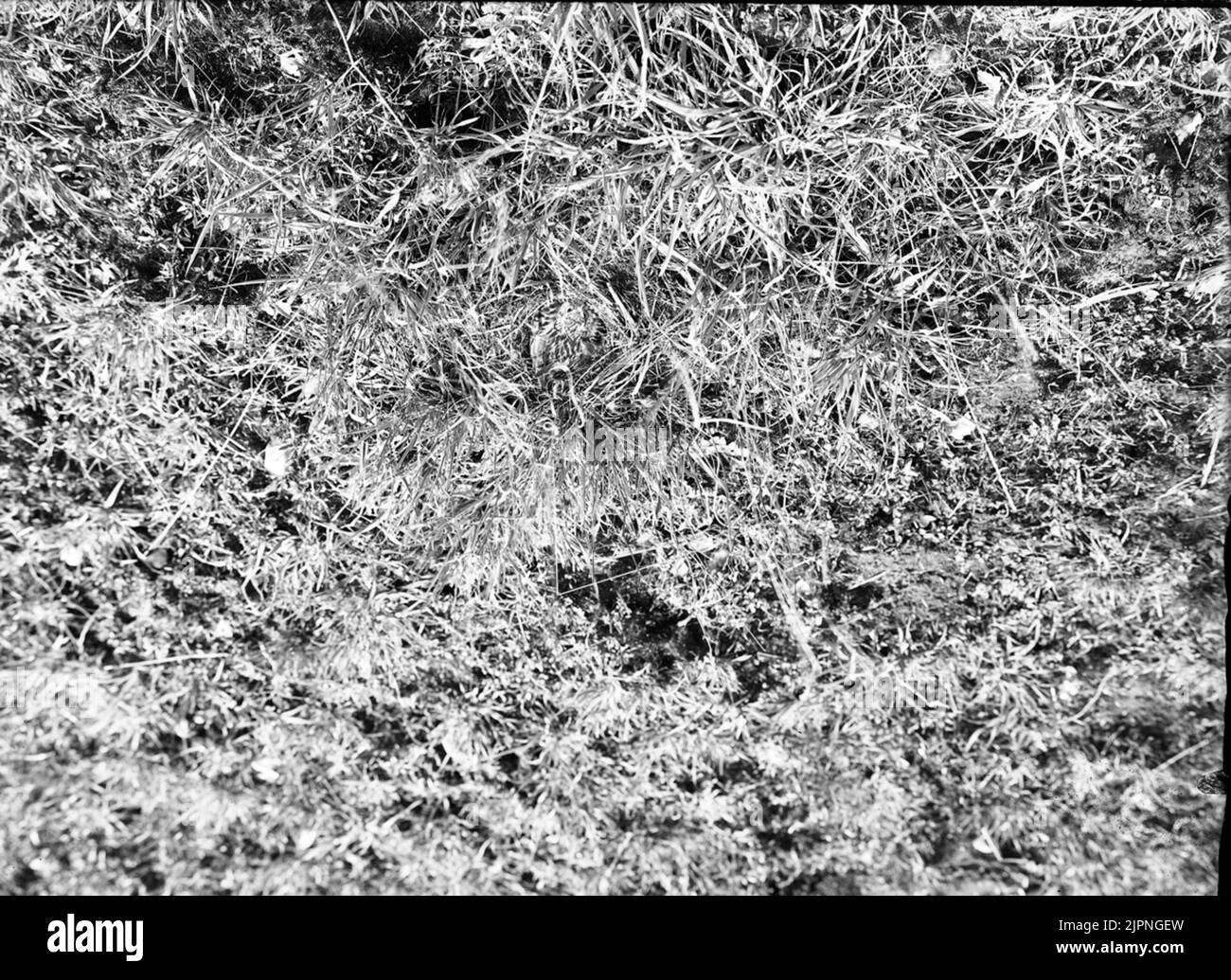 Roughening hi-res stock photography and images - Alamy