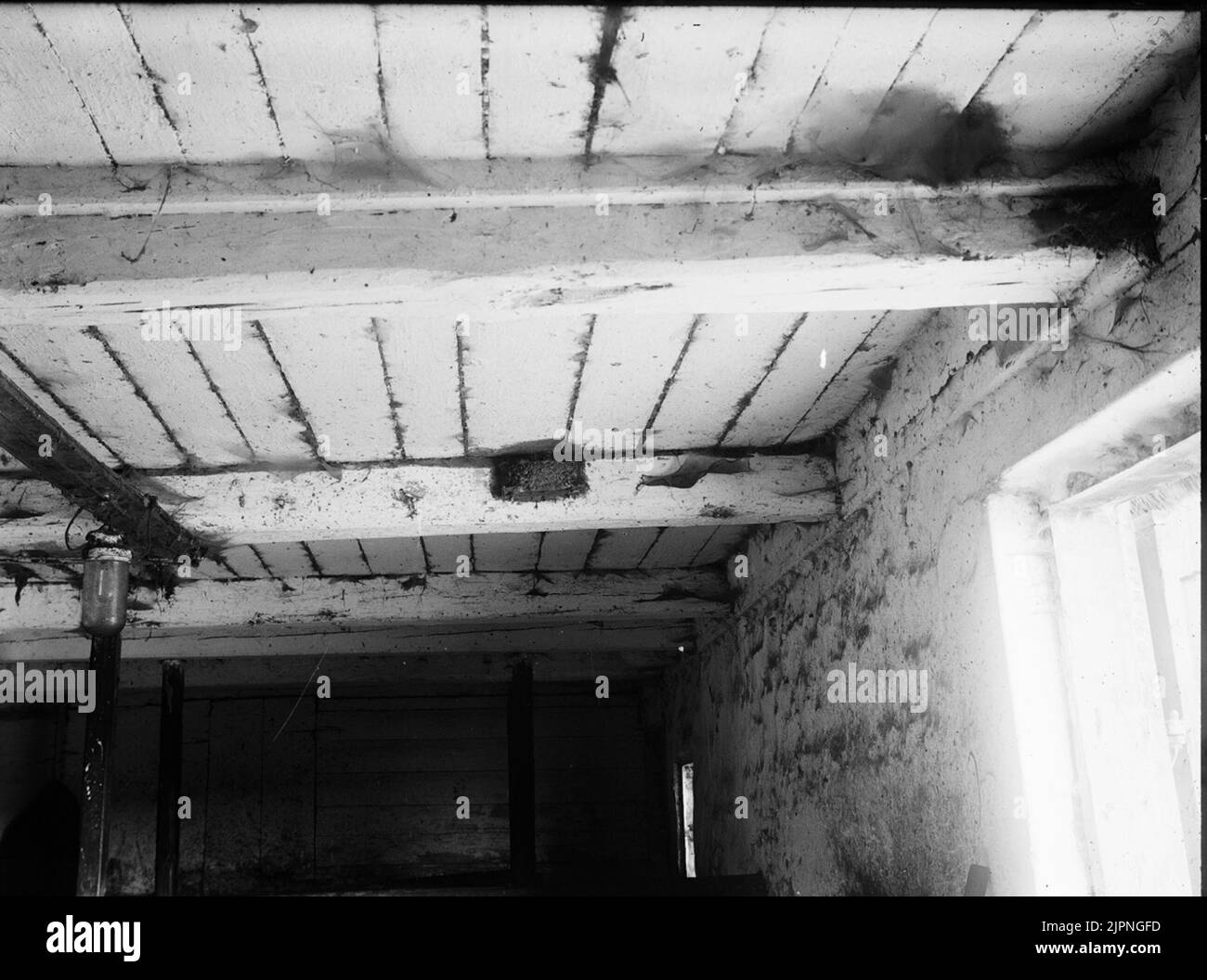 Stay by Ladusvala Bo av ladusvala Stock Photo - Alamy