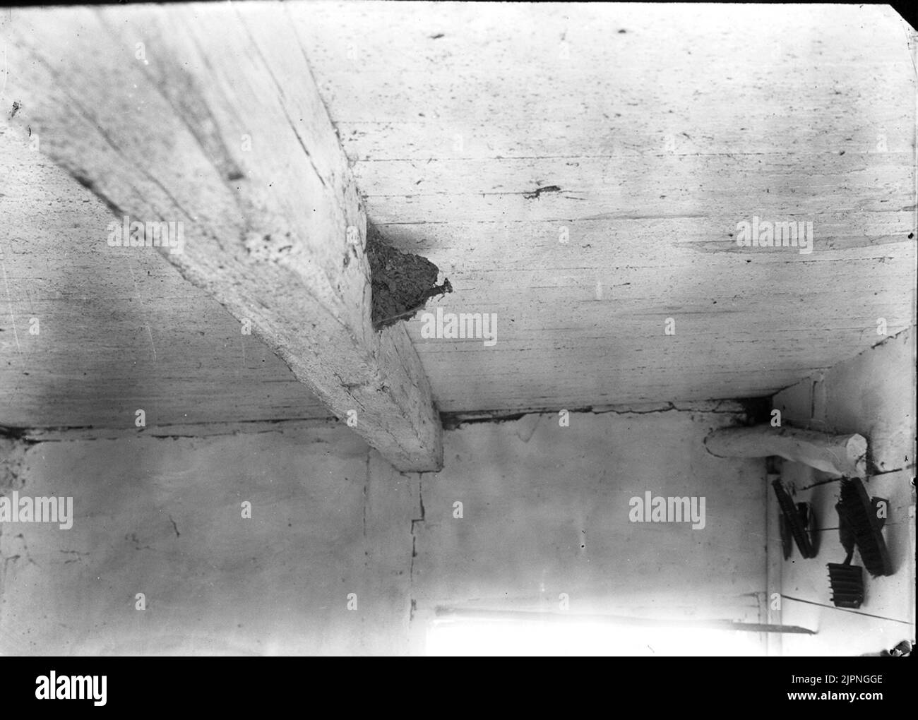 Stay by Ladusvala Bo av ladusvala Stock Photo - Alamy