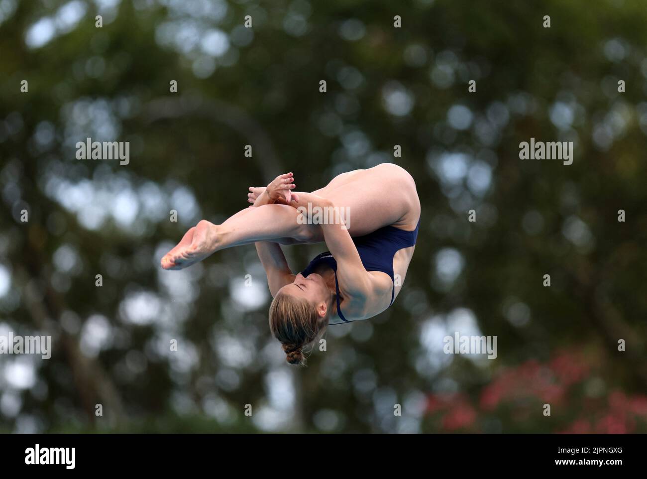 Michelle heimberg hi-res stock photography and images - Alamy