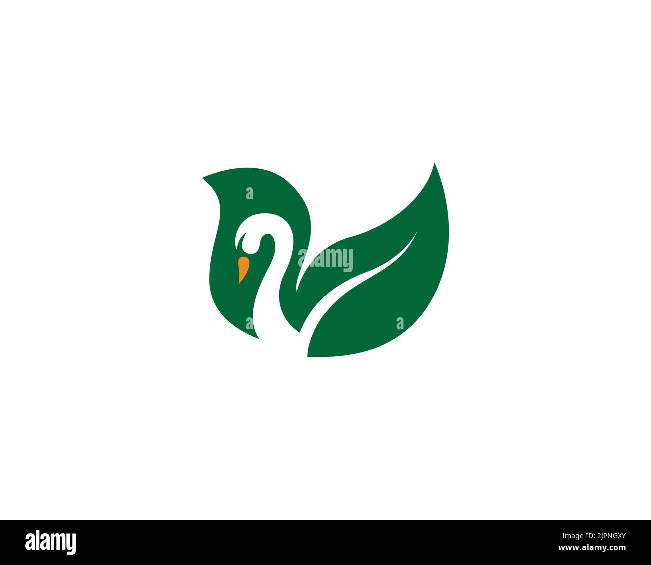 Swan drawing hi-res stock photography and images - Alamy