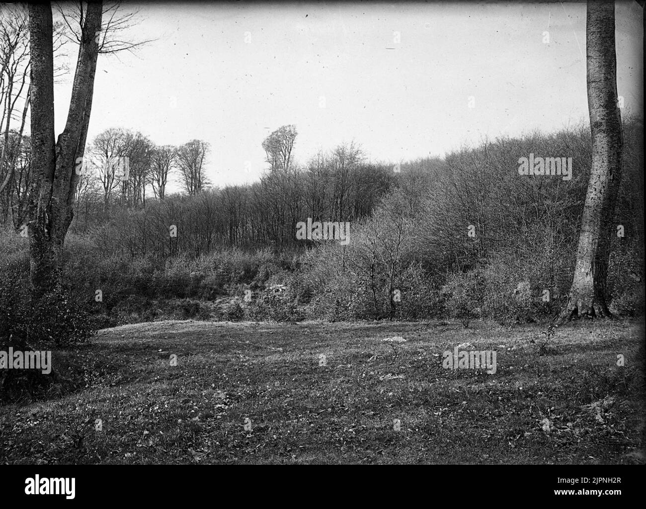 Soil biotope Black and White Stock Photos & Images - Alamy