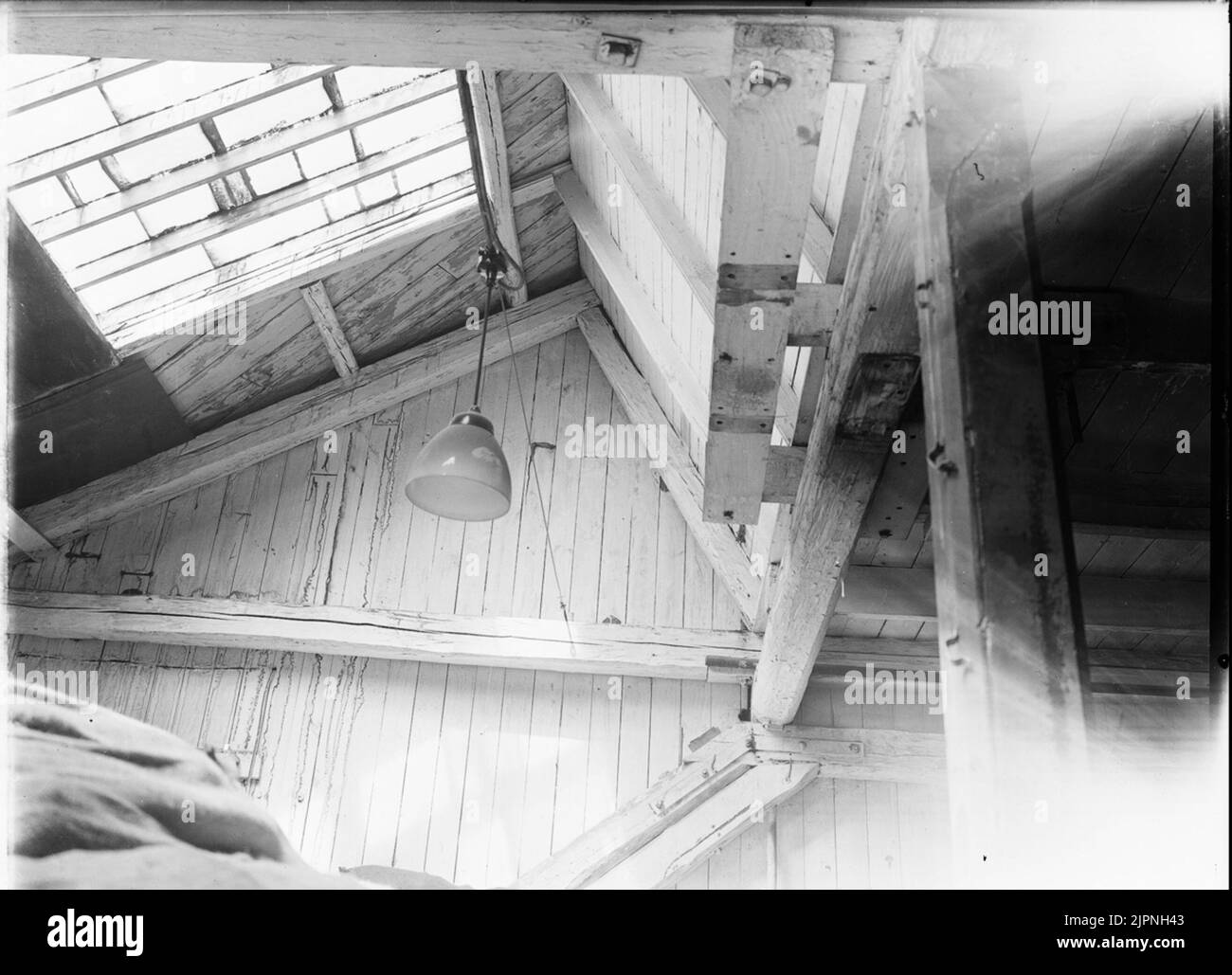 Songbird characteristics Black and White Stock Photos & Images - Alamy