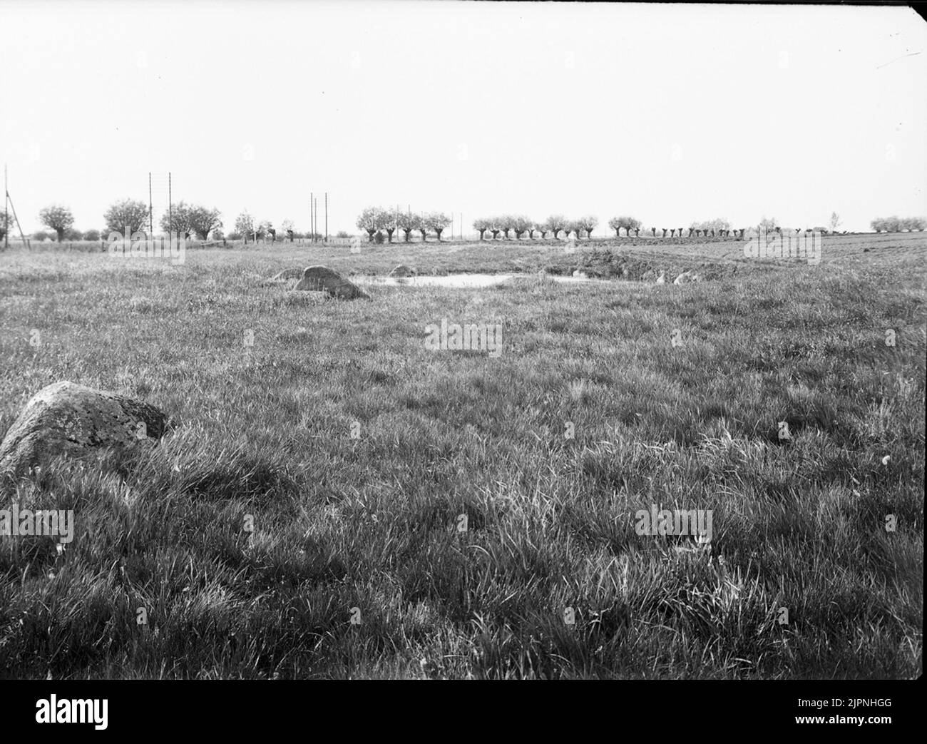 Biotop Black and White Stock Photos & Images - Alamy