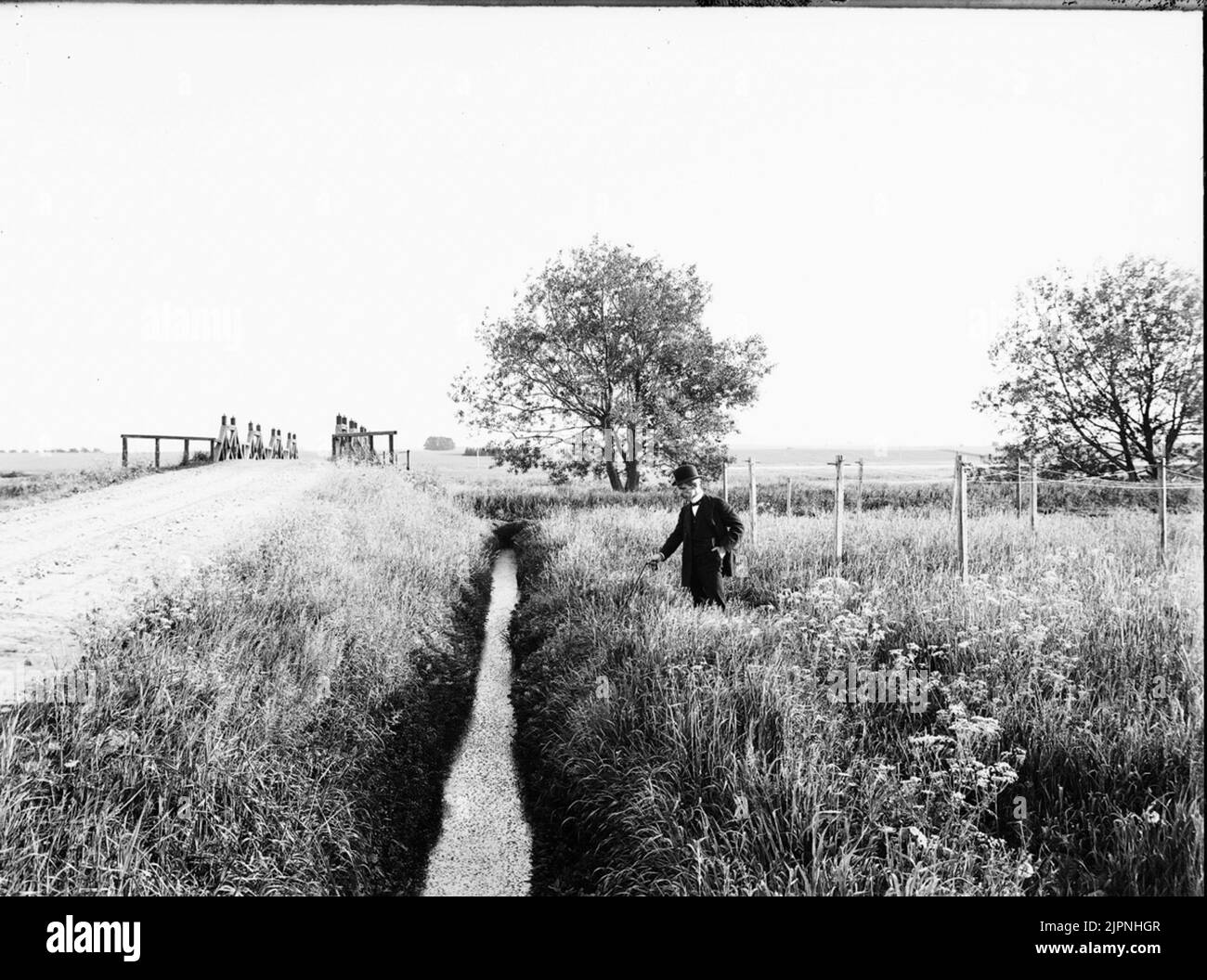 Biotop Black and White Stock Photos & Images - Alamy