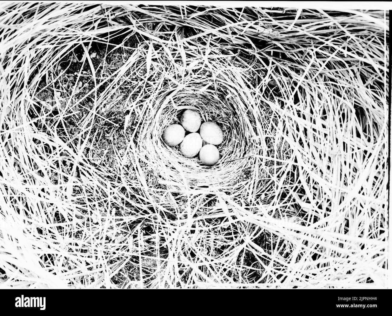 Manual sharpening process hi-res stock photography and images - Alamy