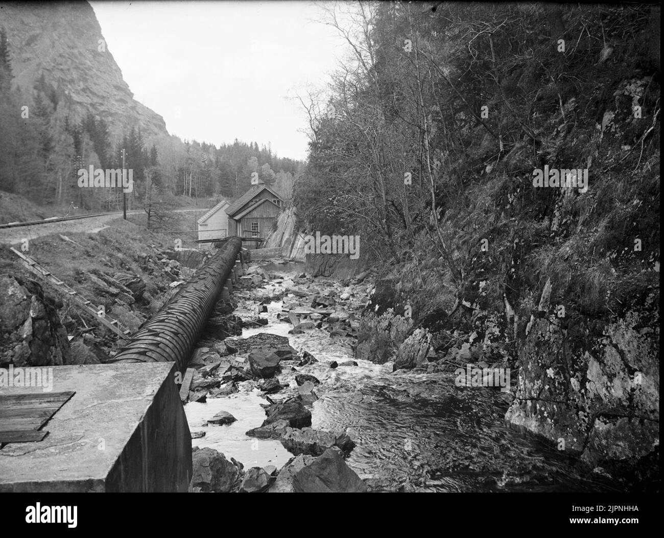 Biotope for forswear (gray gown) Biotop för forsärla (gråärla Stock ...