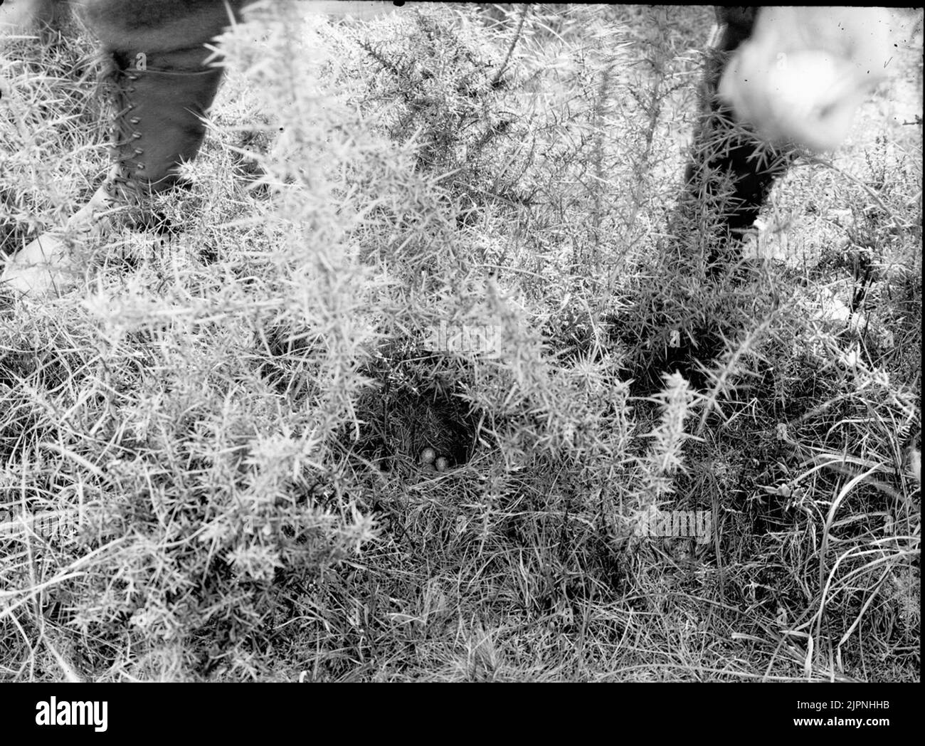 Stay farm Black and White Stock Photos & Images - Alamy