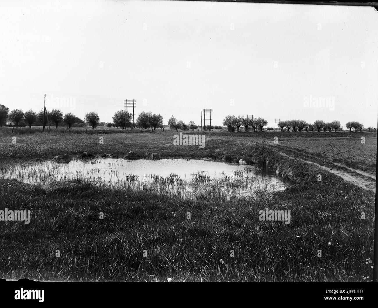 Biotop Black and White Stock Photos & Images - Alamy