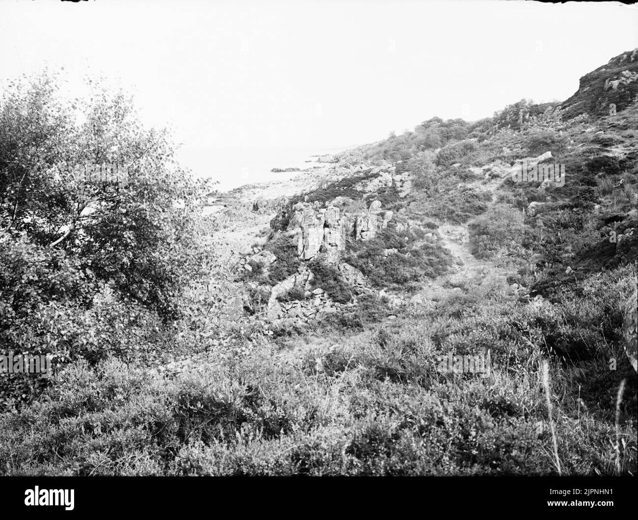 Biotop Black and White Stock Photos & Images - Alamy