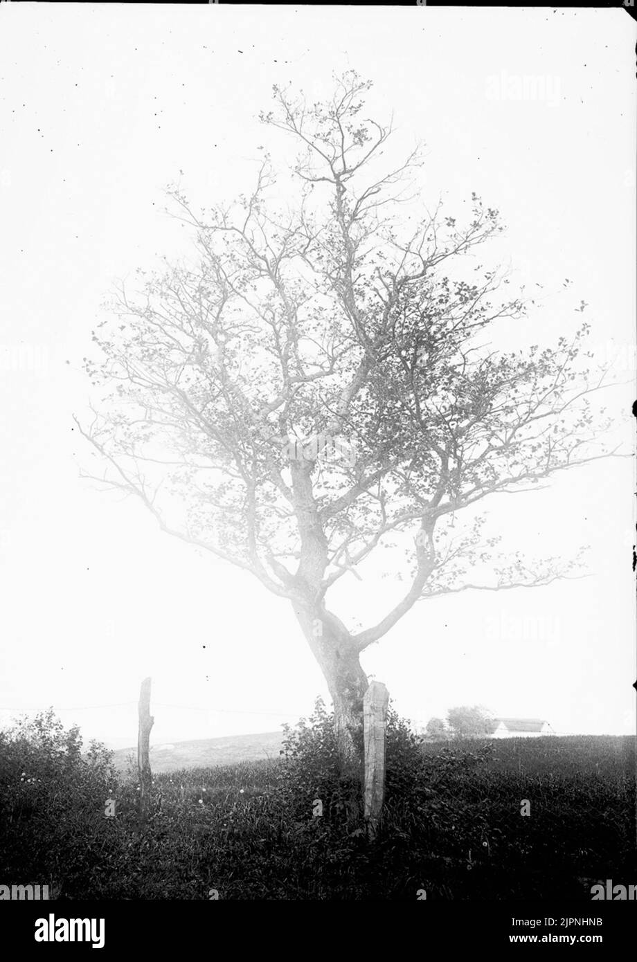 Designated structure Black and White Stock Photos & Images - Alamy