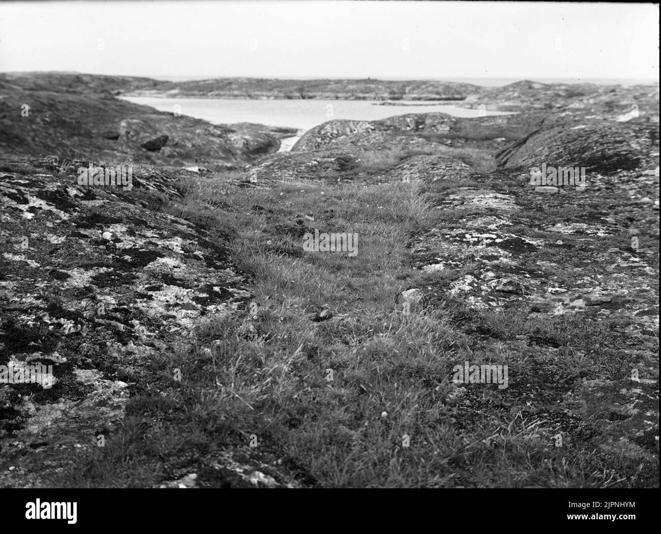 Marsh singer Black and White Stock Photos & Images - Alamy