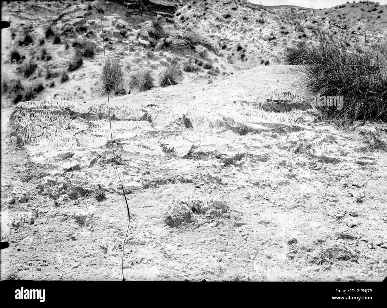 Biotope type hi-res stock photography and images - Alamy