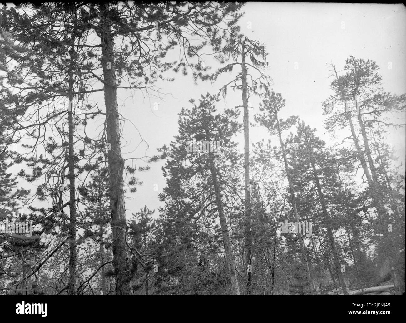 Furor hi-res stock photography and images - Alamy