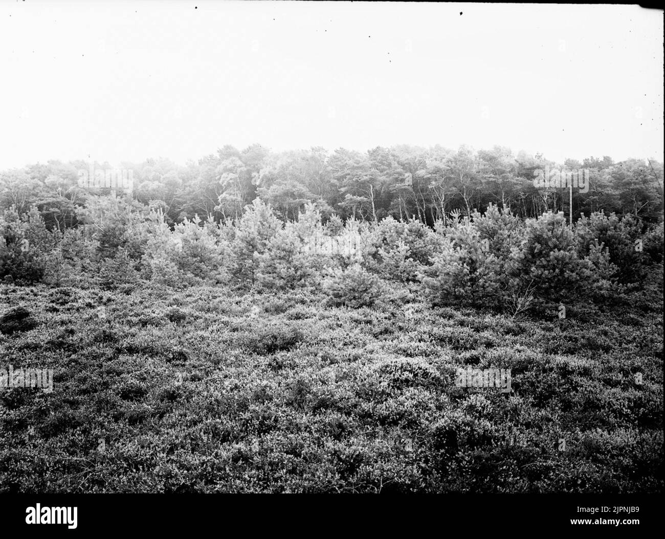 Landscape landskap Black and White Stock Photos & Images - Alamy