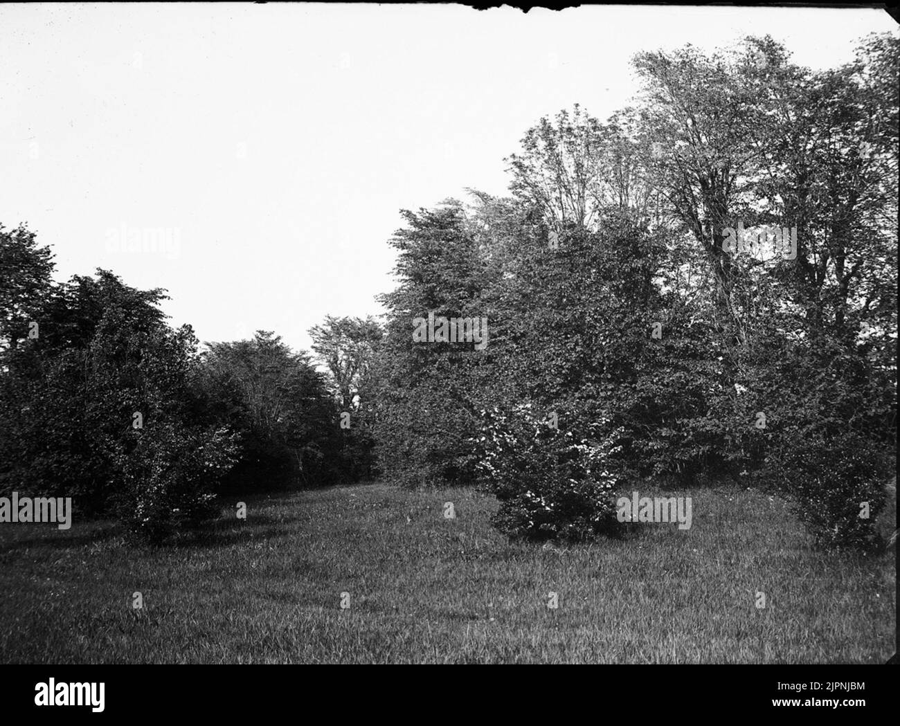 Open field mountain landscape Black and White Stock Photos & Images - Alamy