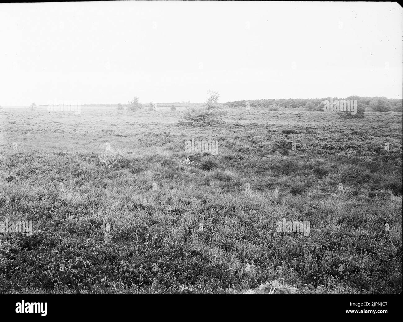 Landscape ground photo Black and White Stock Photos & Images - Alamy