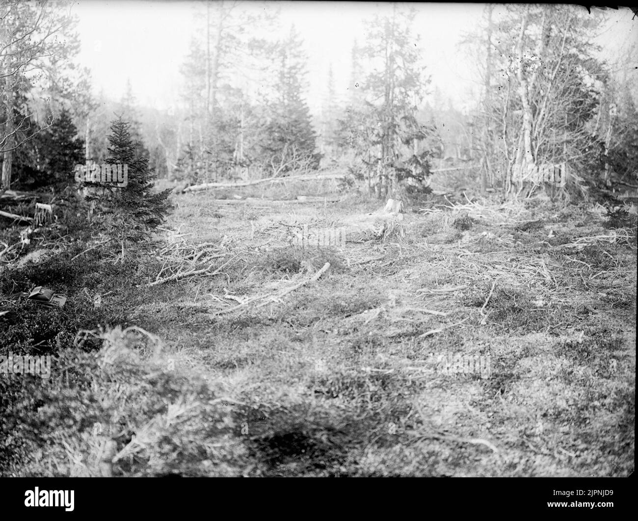 Wild terrain Black and White Stock Photos & Images - Alamy