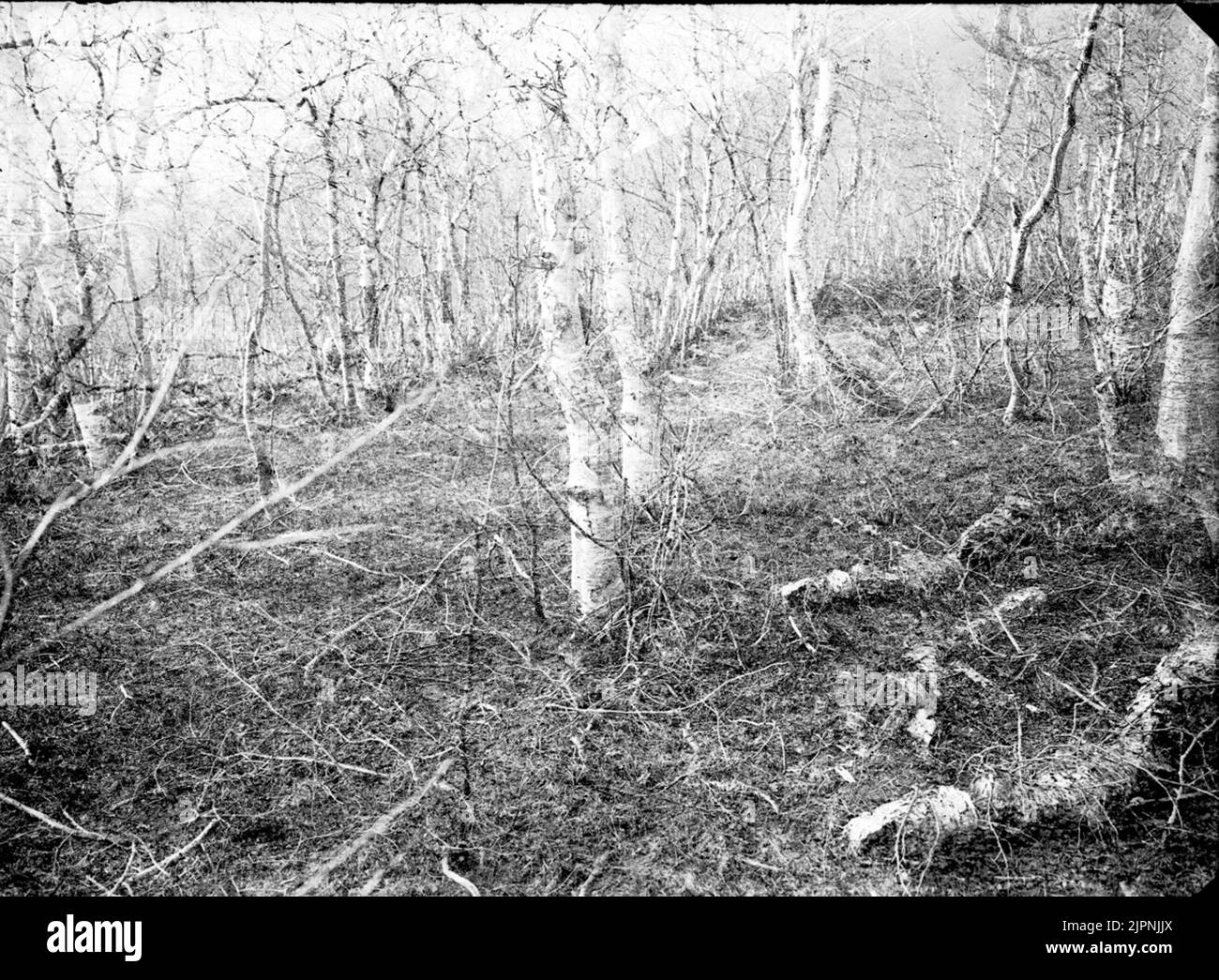 Landskap Black and White Stock Photos & Images - Alamy