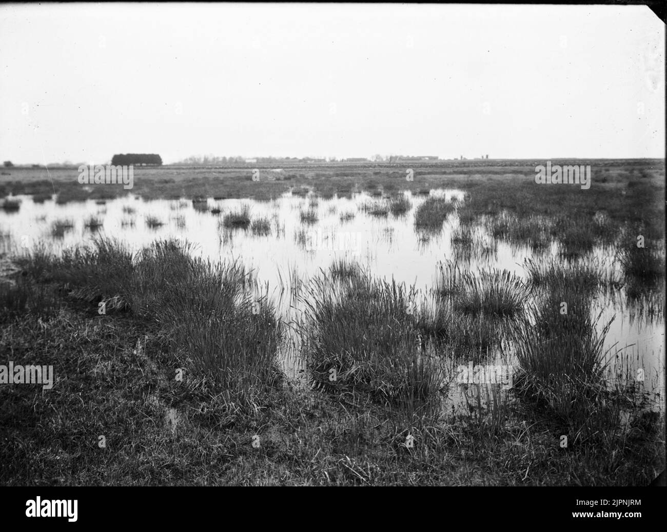 Indefinite expression hi-res stock photography and images - Alamy