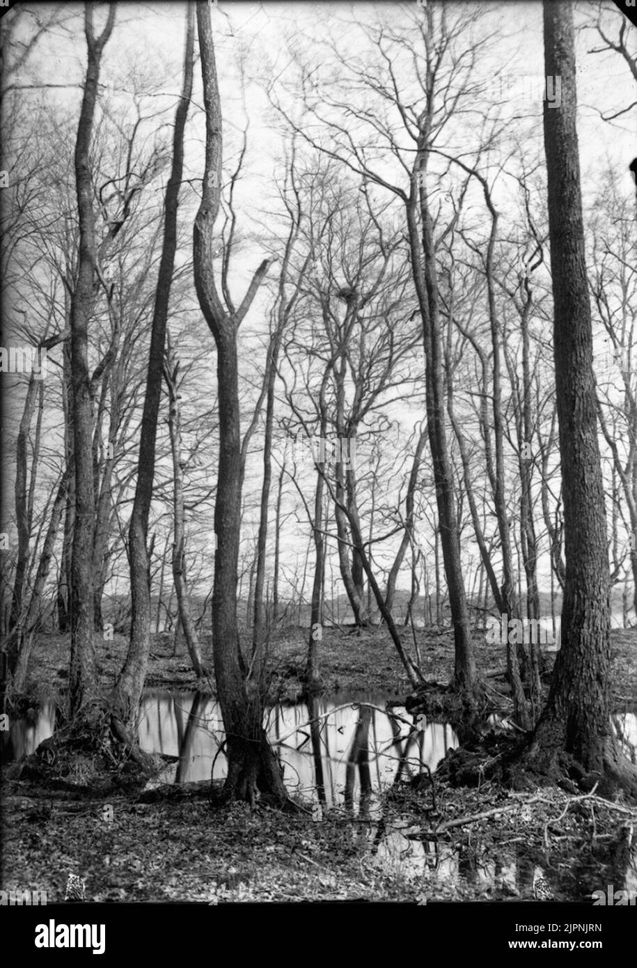 Bive hi-res stock photography and images - Alamy