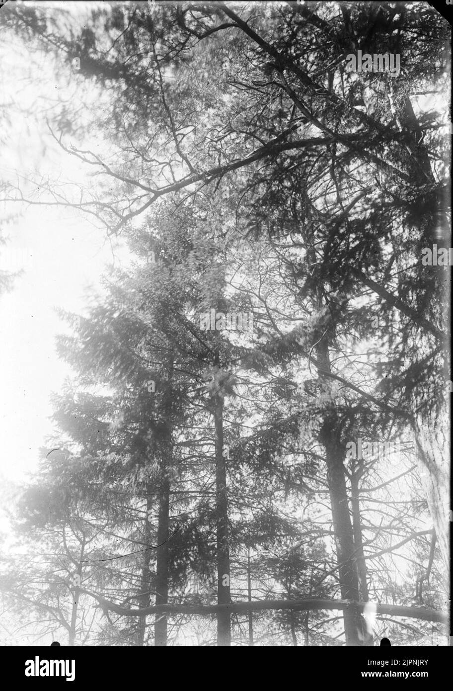 Obestamt hi-res stock photography and images - Alamy