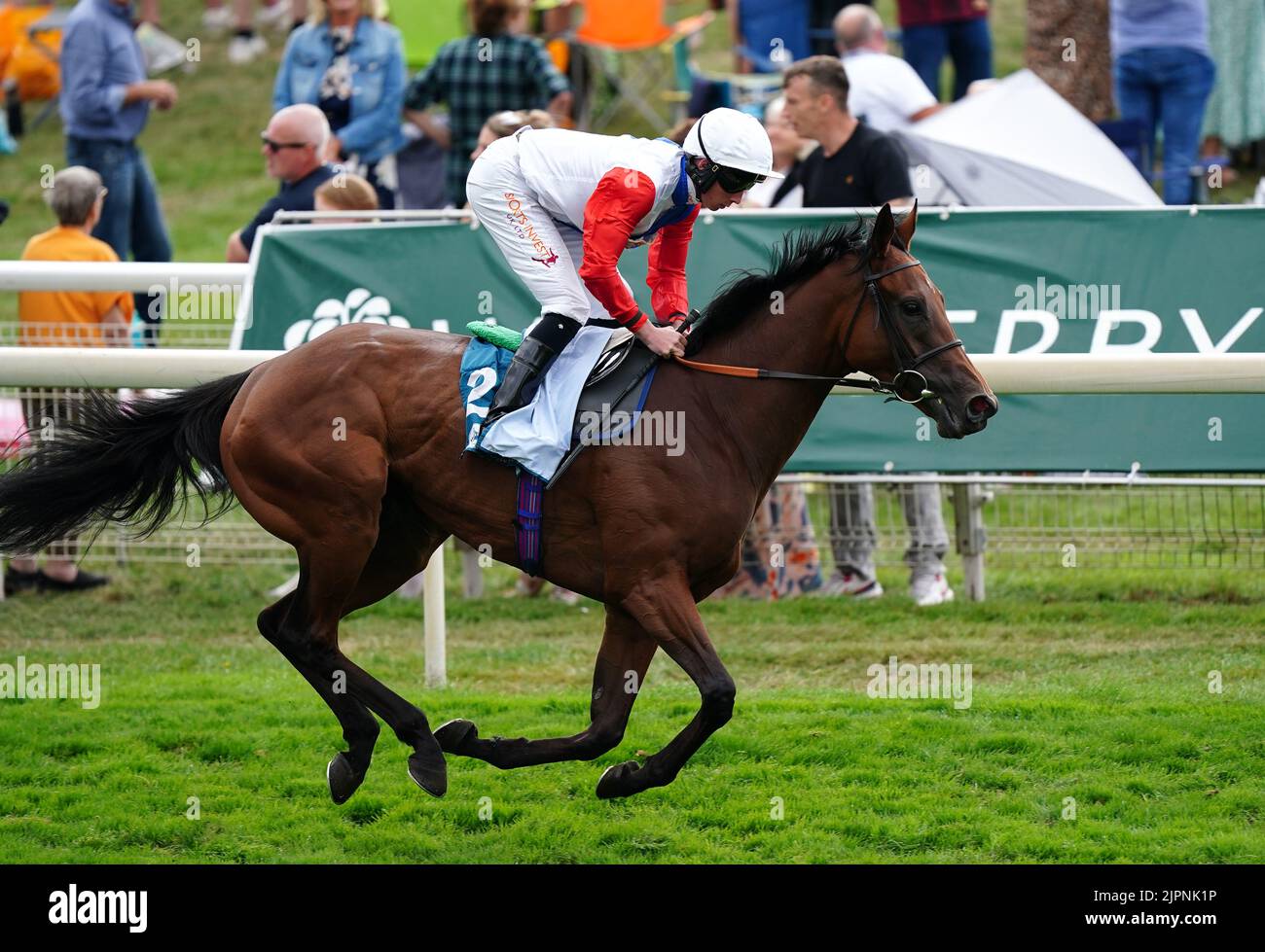 Assured data protection ebf fillies handicap hi-res stock photography ...