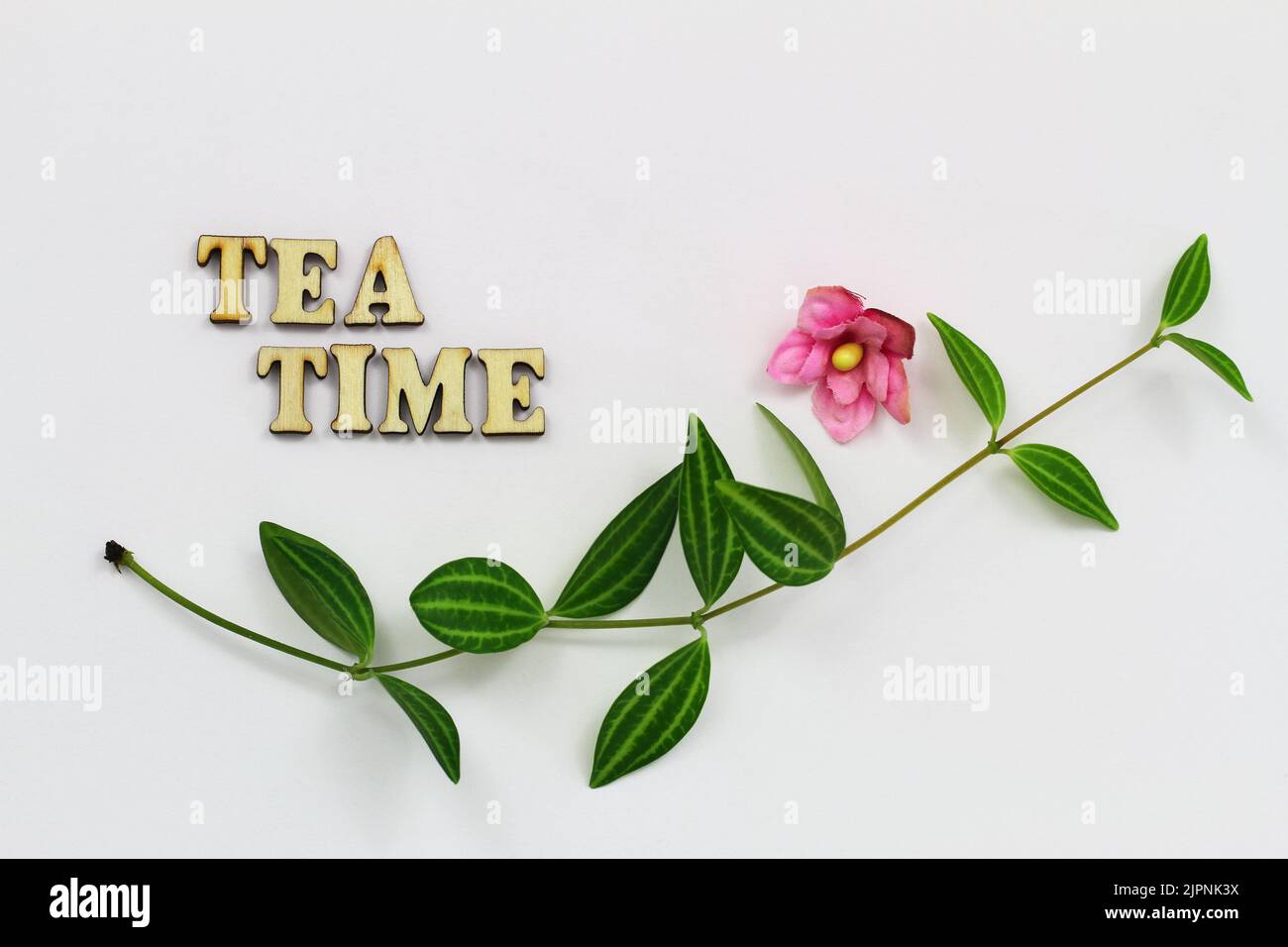Tea time written with wooden letters with green leaves and pink rose on ...