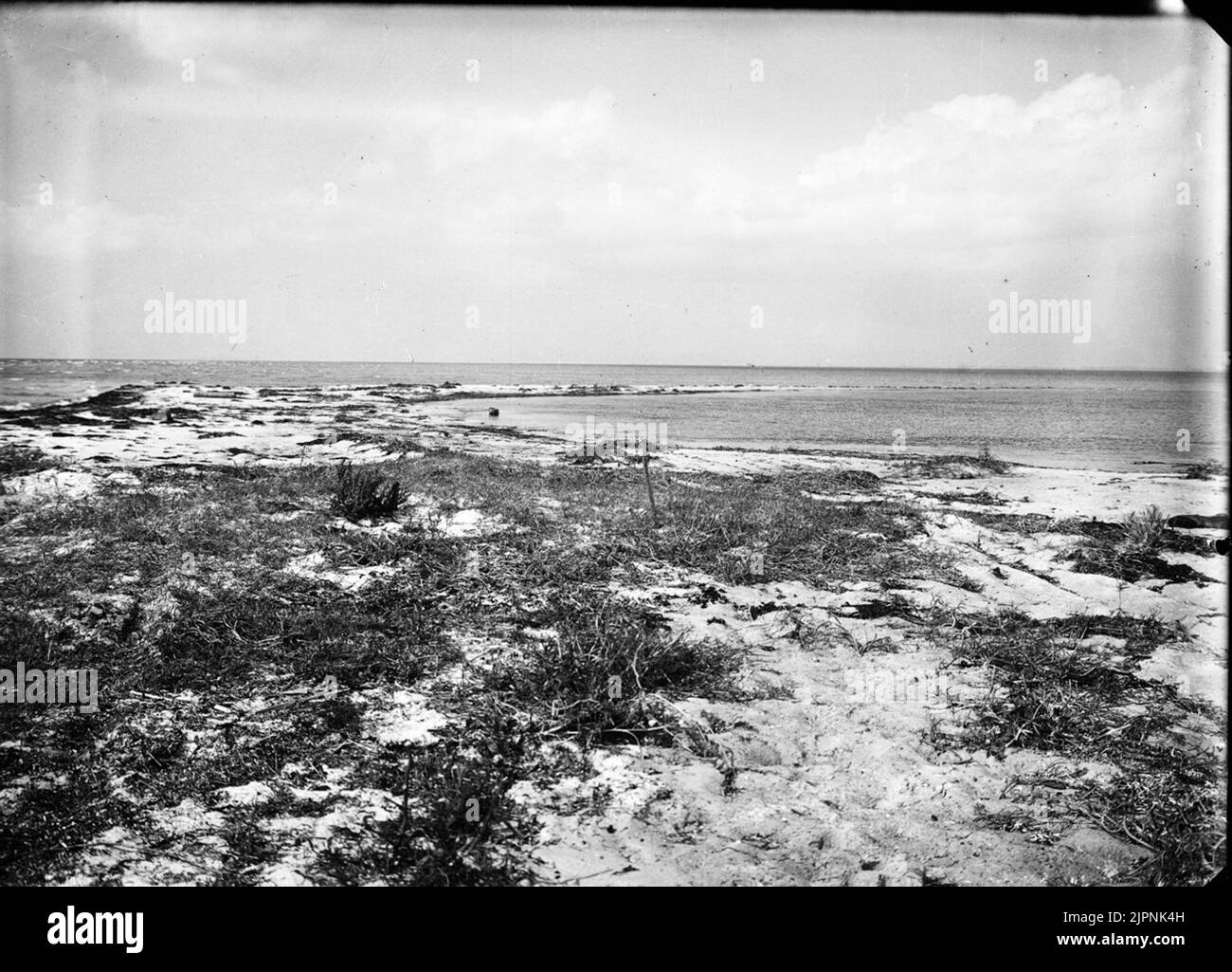 Biotope for Small Skrak NV about Skanör Biotop för småskrak nv om ...