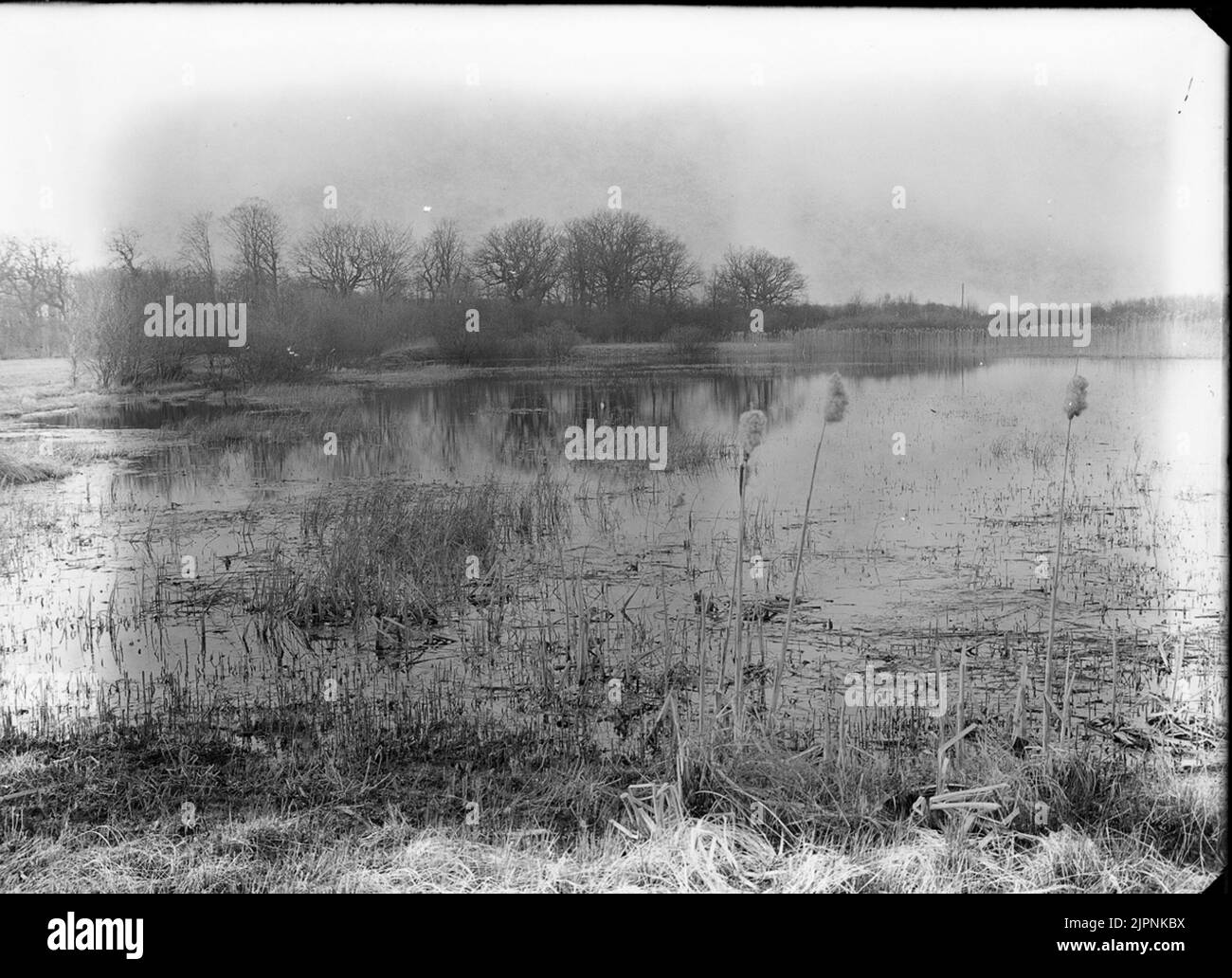 Small pond stream Black and White Stock Photos & Images - Alamy