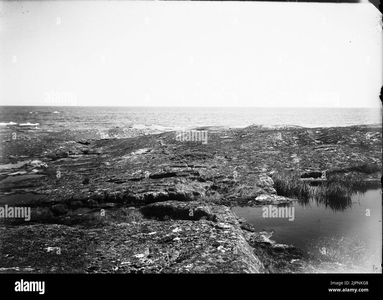Biotope for Bergand Biotop för bergand Stock Photo - Alamy