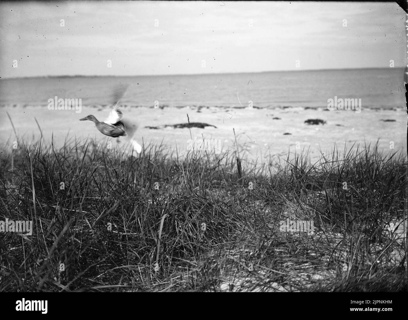 Flight lift Black and White Stock Photos & Images - Alamy