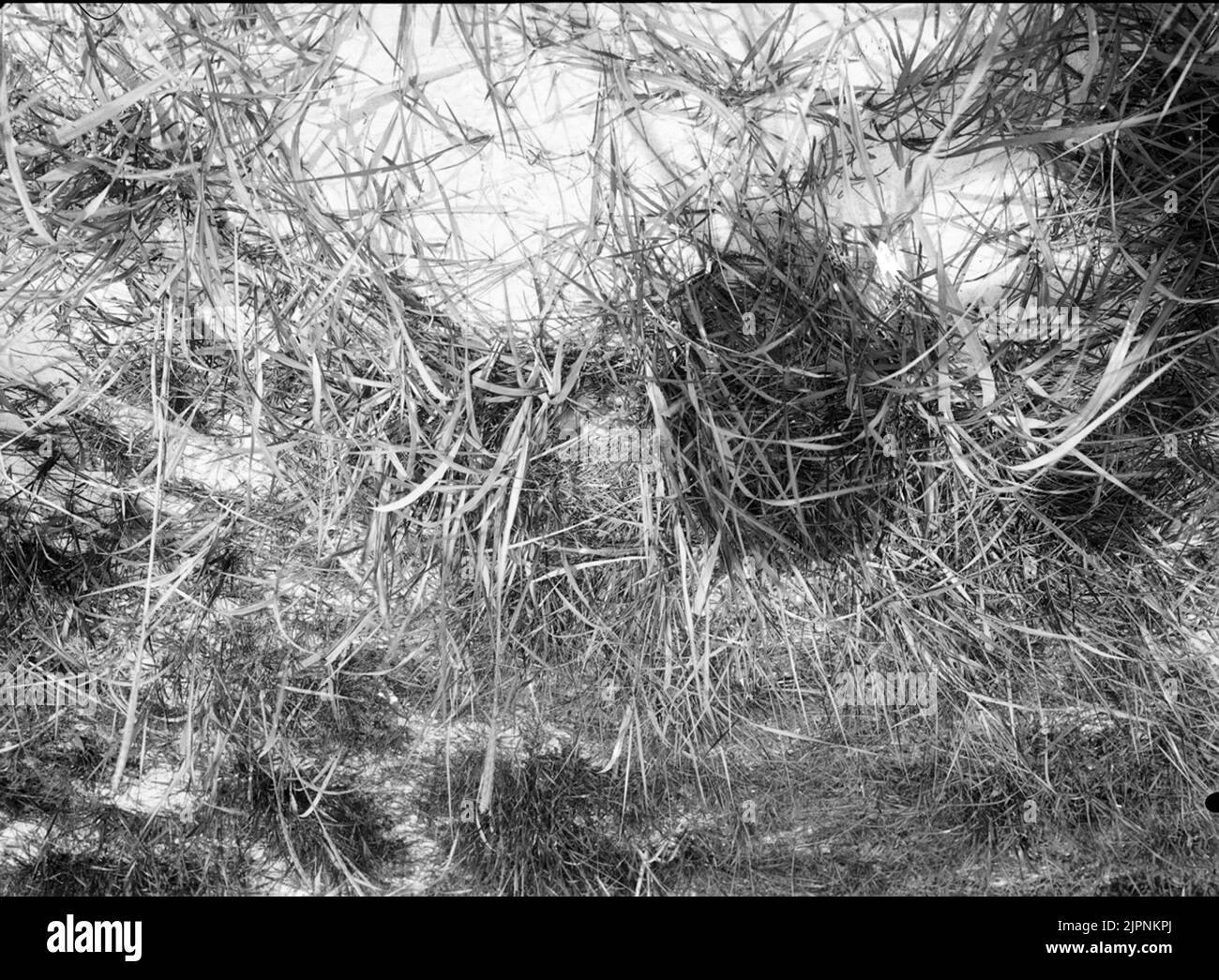 Cradle collection hi-res stock photography and images - Alamy