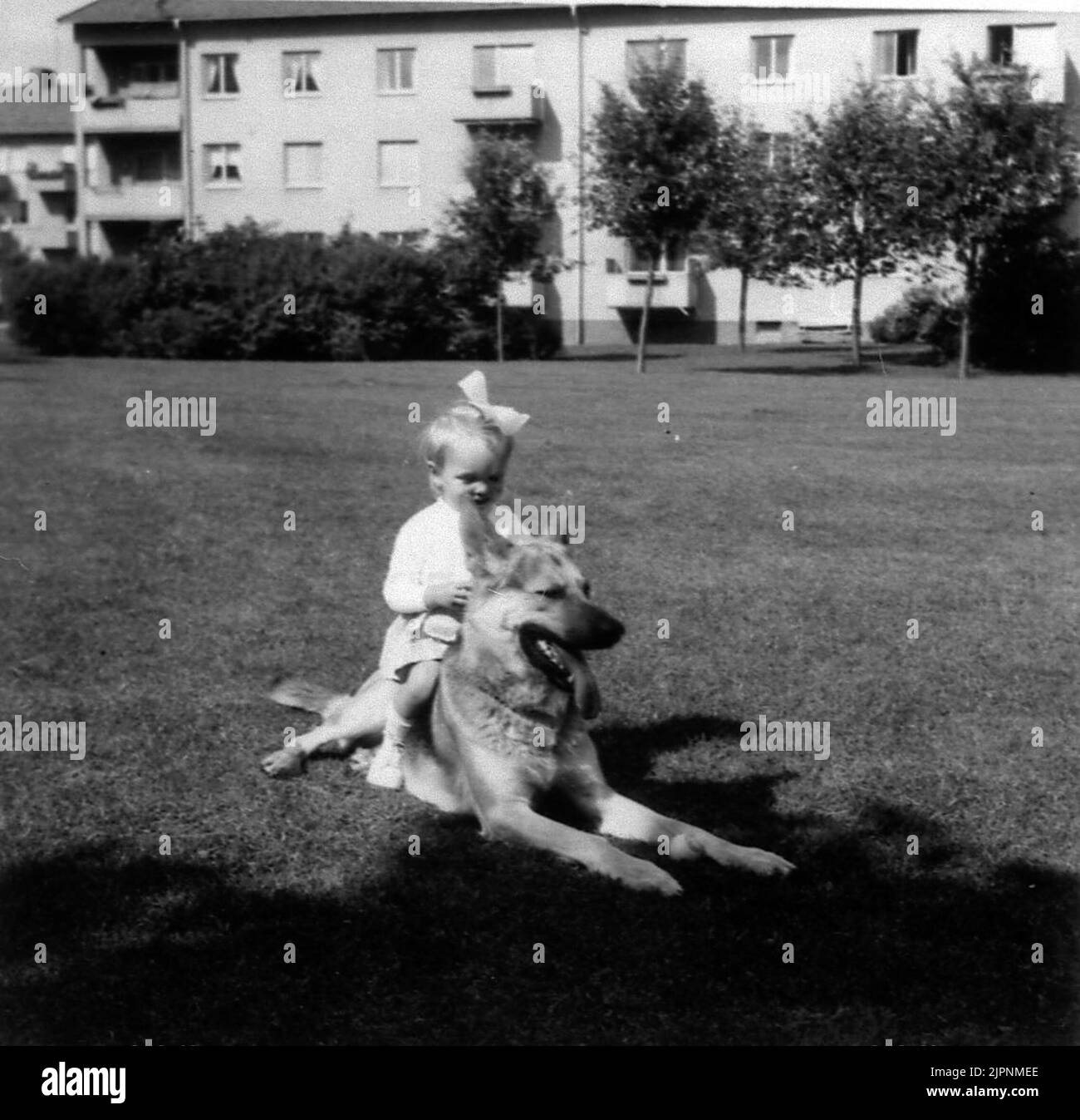 Zorro picture Black and White Stock Photos & Images - Alamy