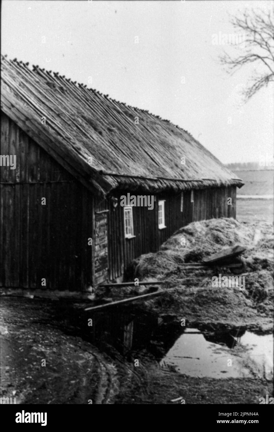 Bossgården. The barn. Bossgården. Ladugården Stock Photo - Alamy