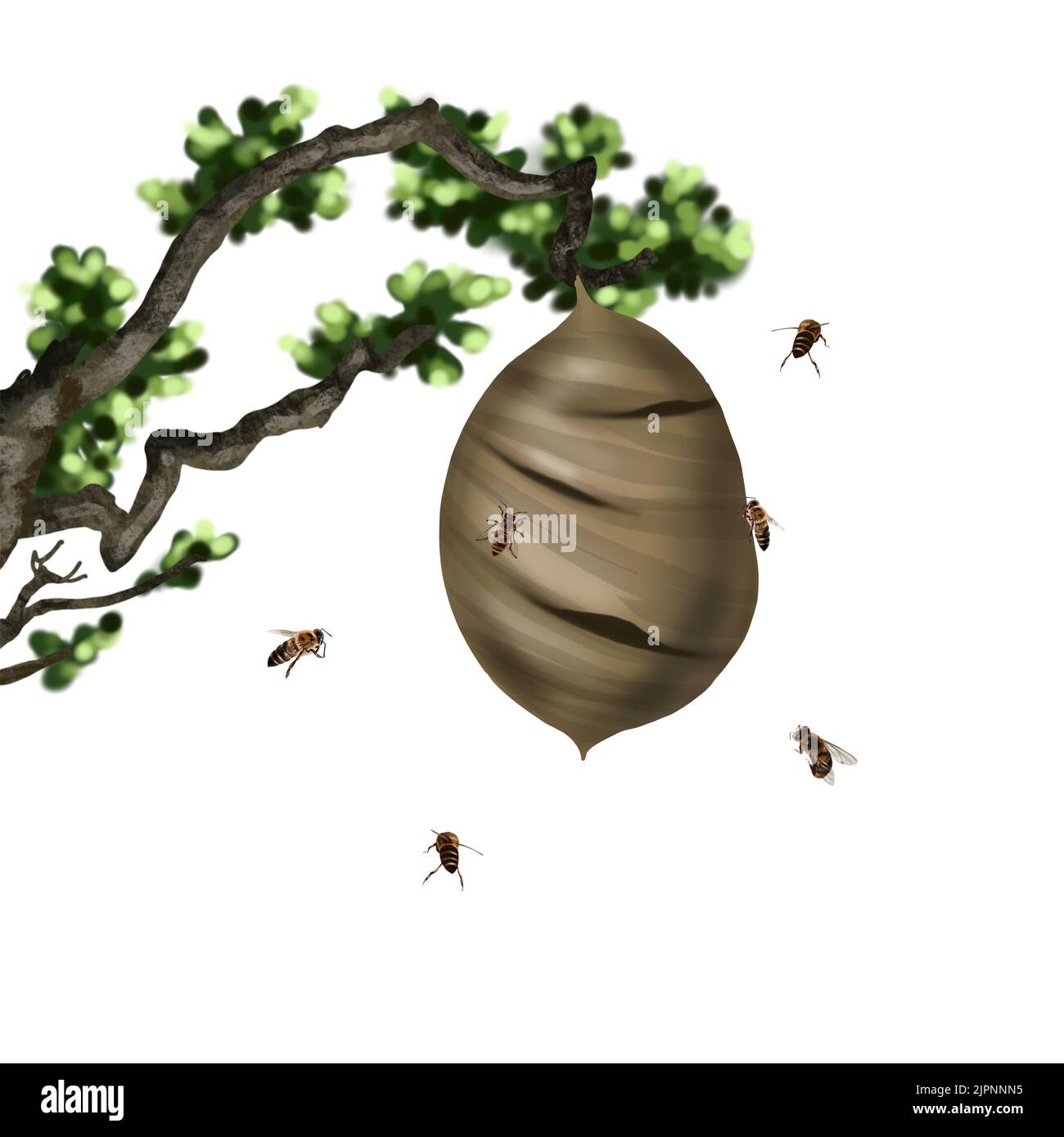Watercolor illustration. Beehive on a tree with bees. Realistic ...