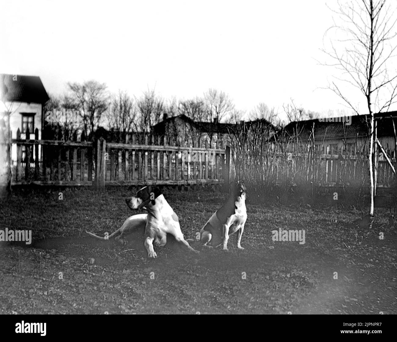 Primary scene Black and White Stock Photos & Images - Alamy