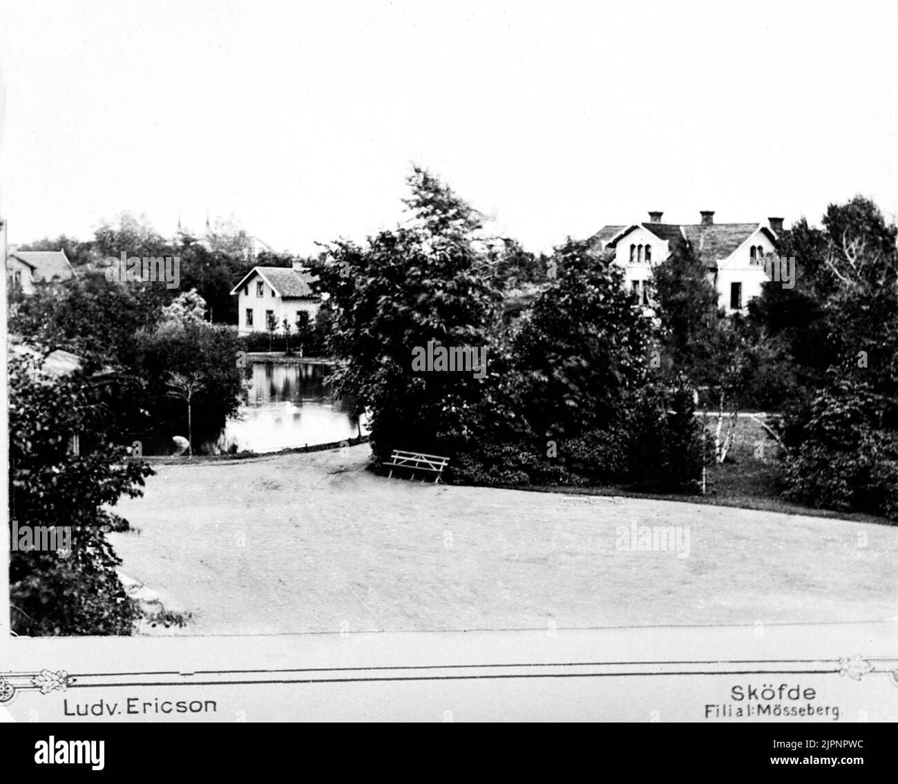 Local park wildlife Black and White Stock Photos & Images - Alamy