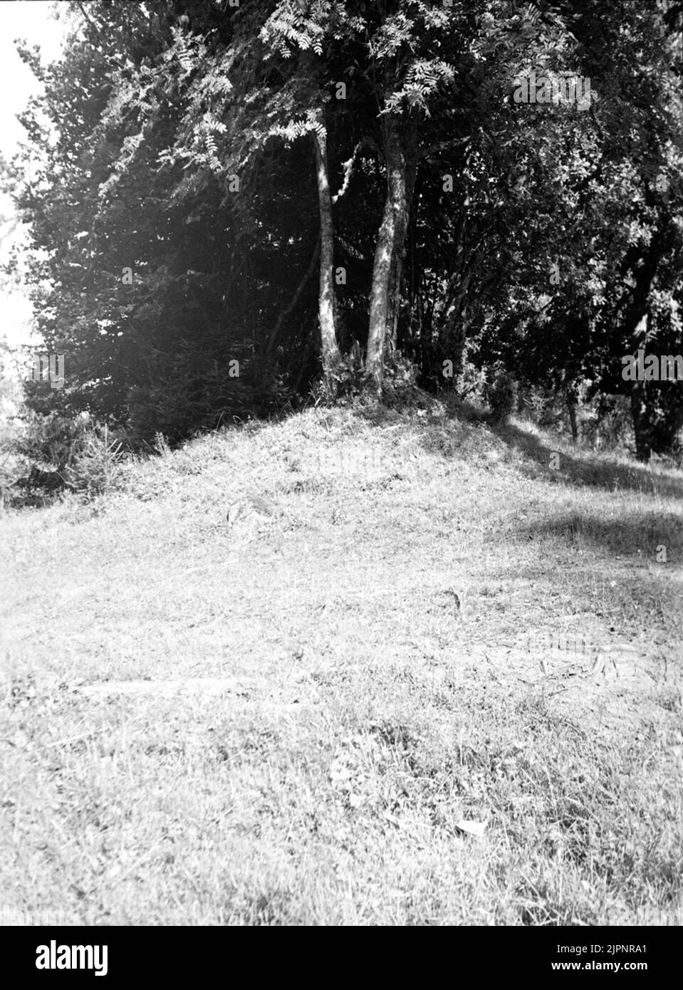 Natural memories from Sandhem Grimstorp Ekängen. Naturminnen från ...